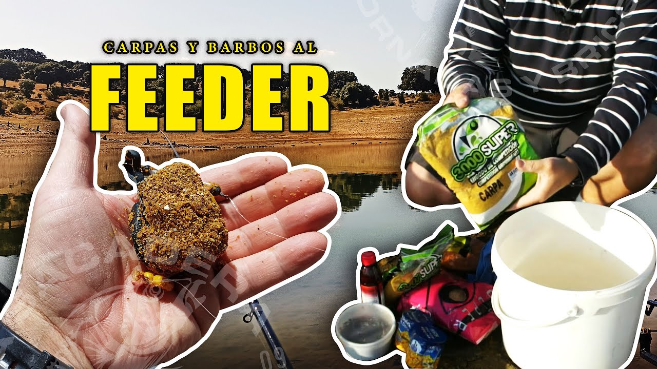 Pesca con Feeder para Engodo y Gusano. - YouTube