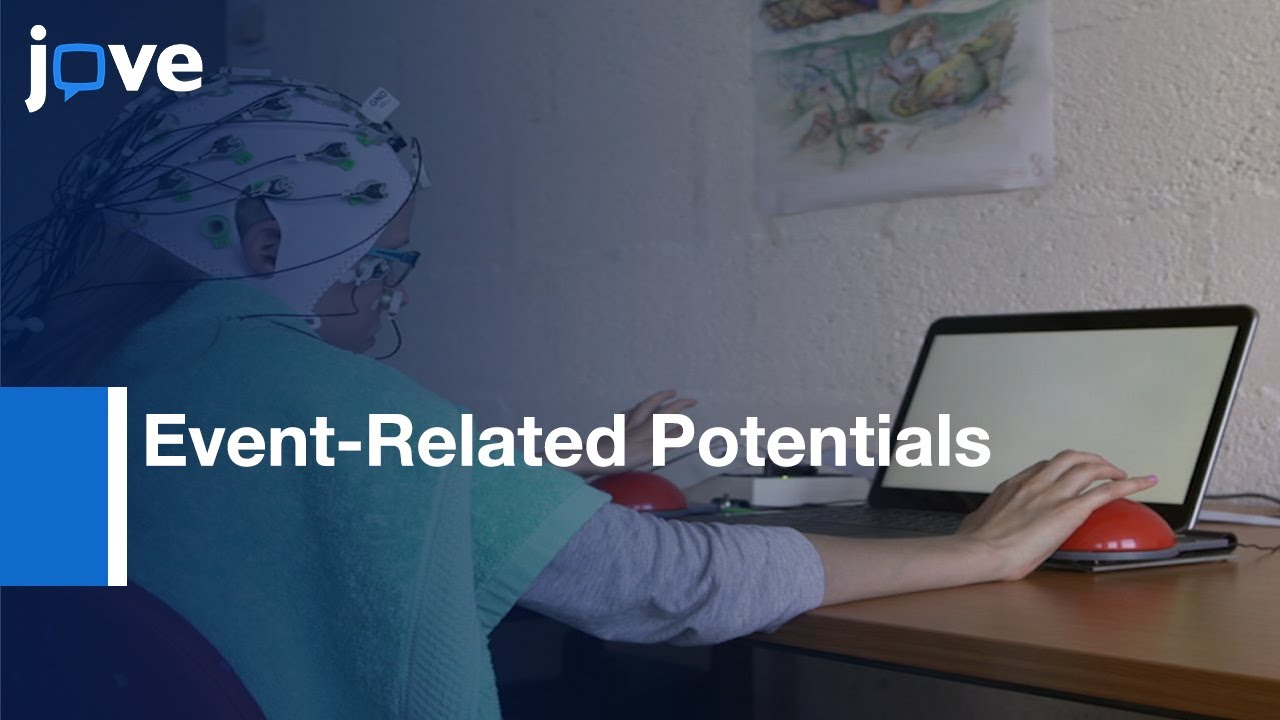 Event-Related Potentials: Target-Response Tasks-Cognitive Processes ...