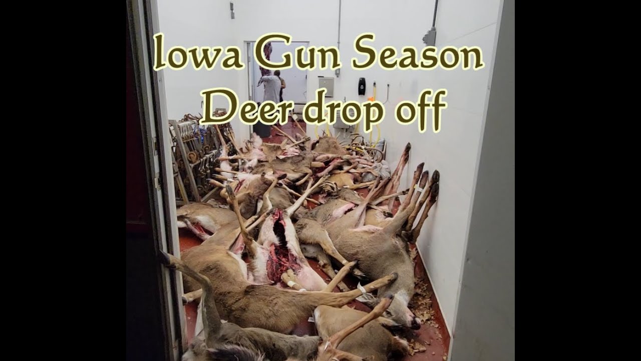 Milo Locker Deer Drop off, 2021 Iowa Gun Season. - YouTube