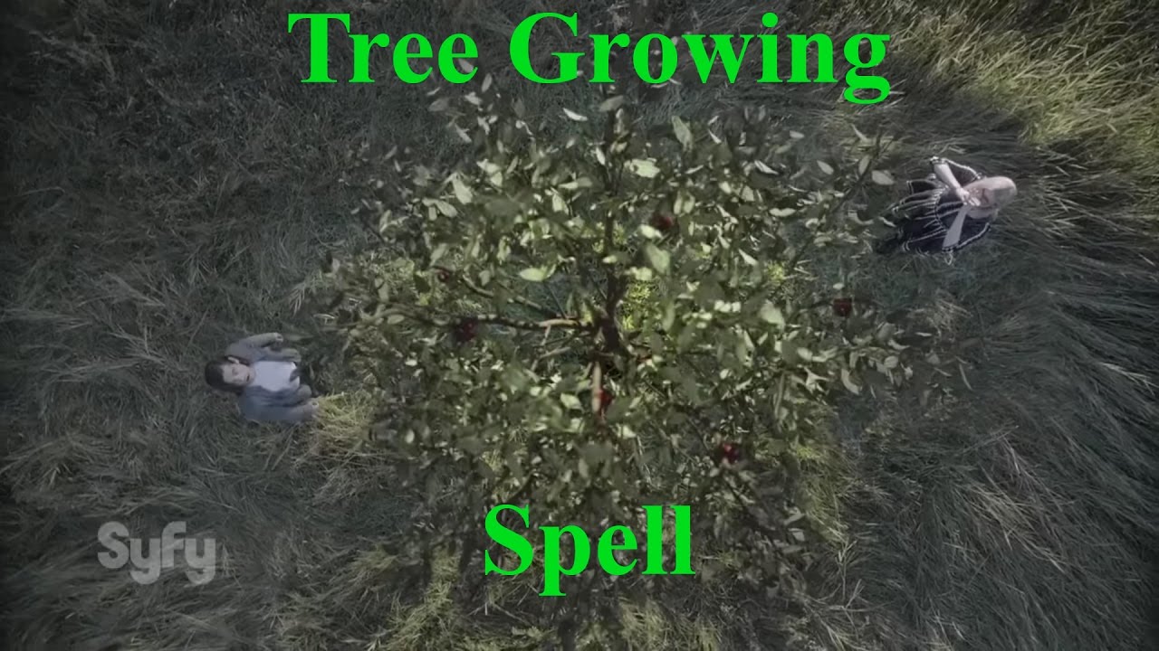 Tree Growing Spell - YouTube