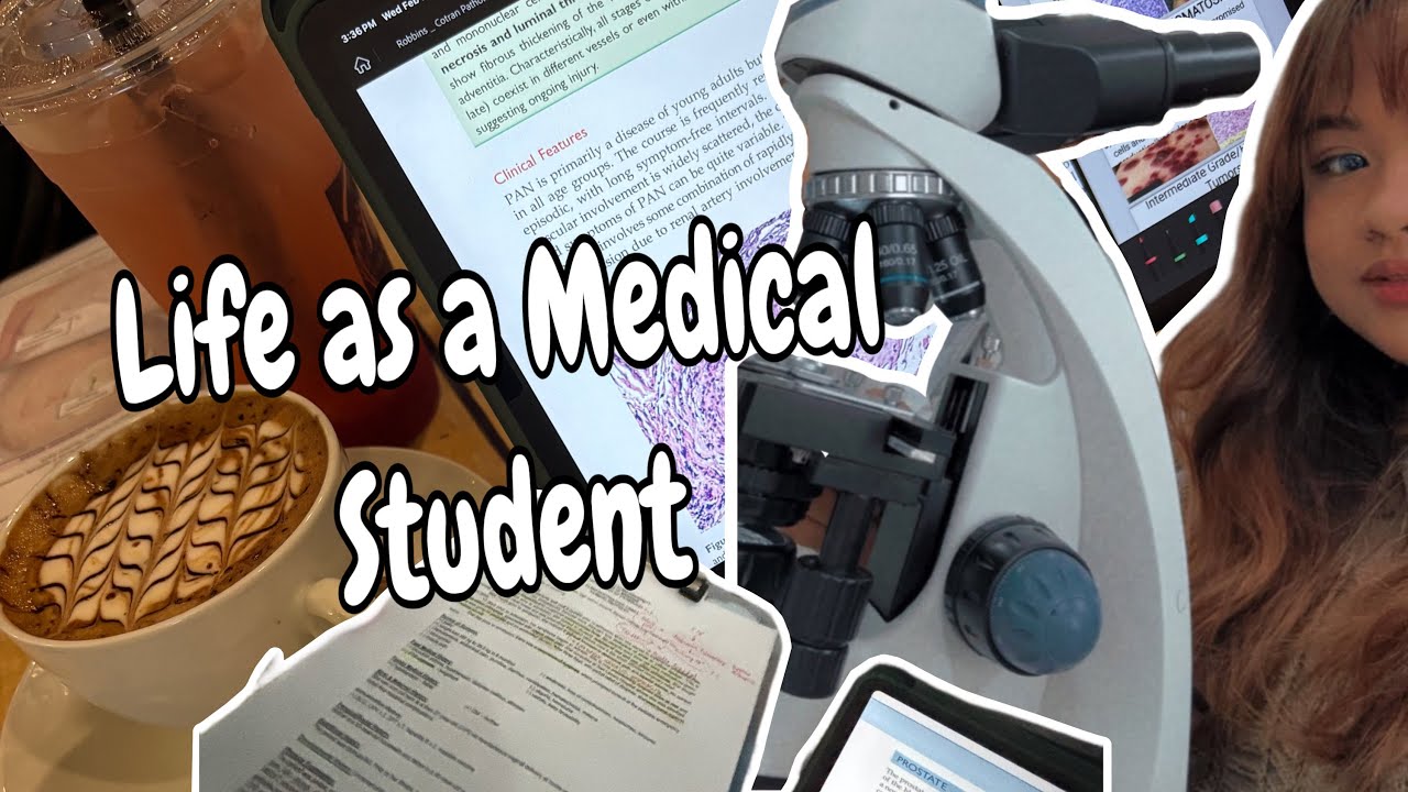 A Day in My Life as a Medical Student - YouTube