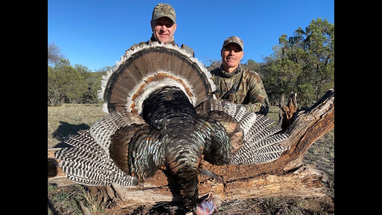 Arizona Gould's Turkey Hunting with Doug - YouTube