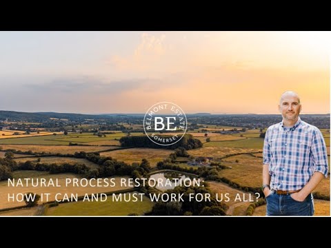 Natural Process Restoration: How it can and must work for us all - YouTube