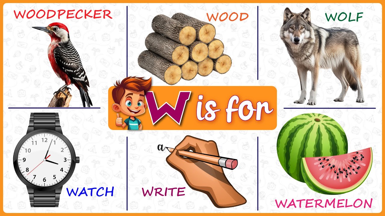 W Letter Words Flash Cards for Kindergarten | Learn New Words with Fun ...