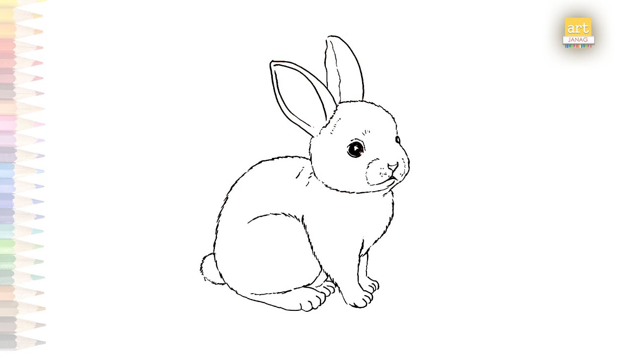 Rabbit easy outline drawing | Rabbit drawings | How to draw A Rabbit ...
