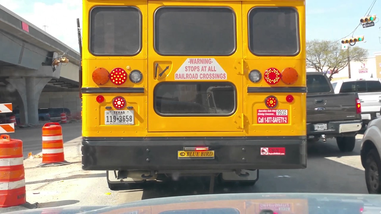 Blue Bird Vision Flashy Light Thing - YouTube