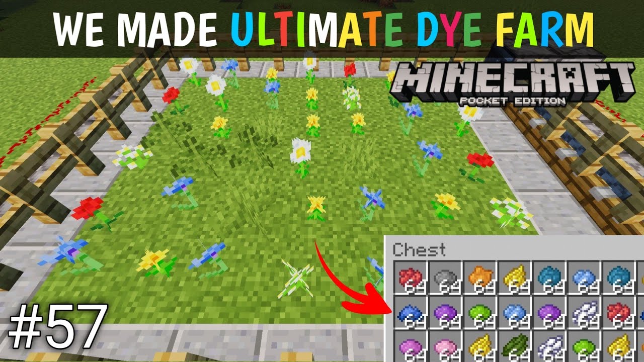 EP 57: Ultimate Dye Farm in Minecraft PE 1.18 Survival Series - YouTube