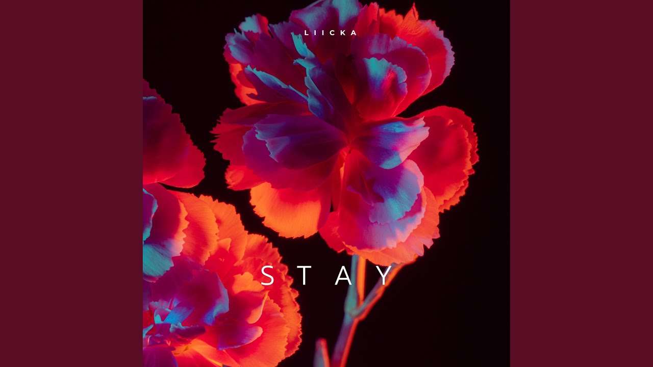 STAY - YouTube