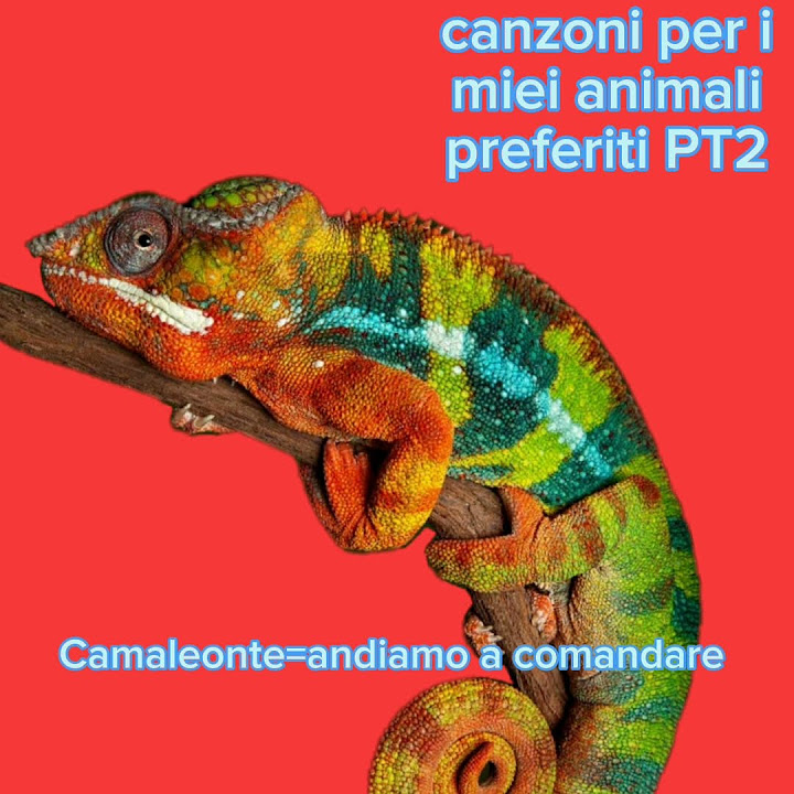 PT2 Camaleonte=andiamo a comandare - YouTube