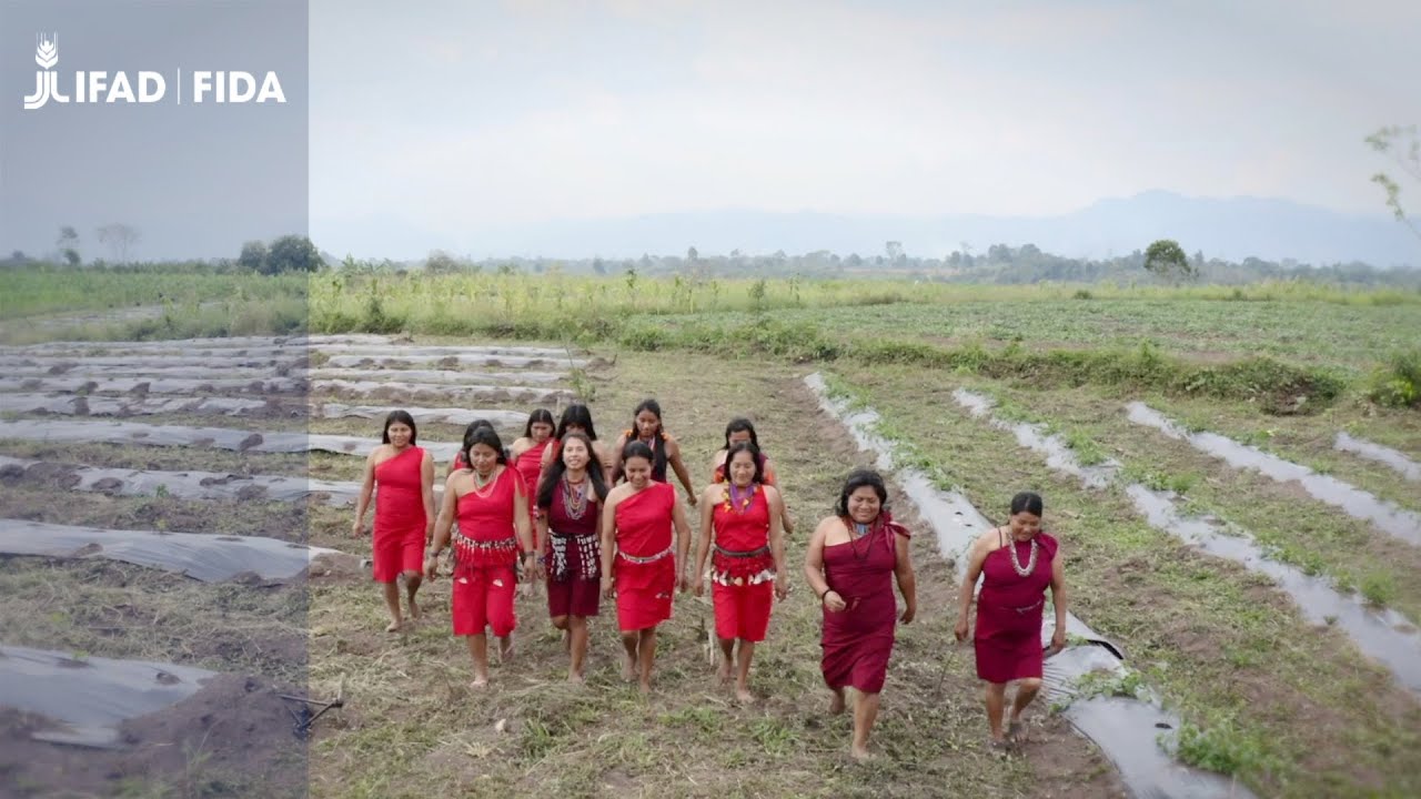 Global: Find out how IFAD helped rural people in 2022 - YouTube