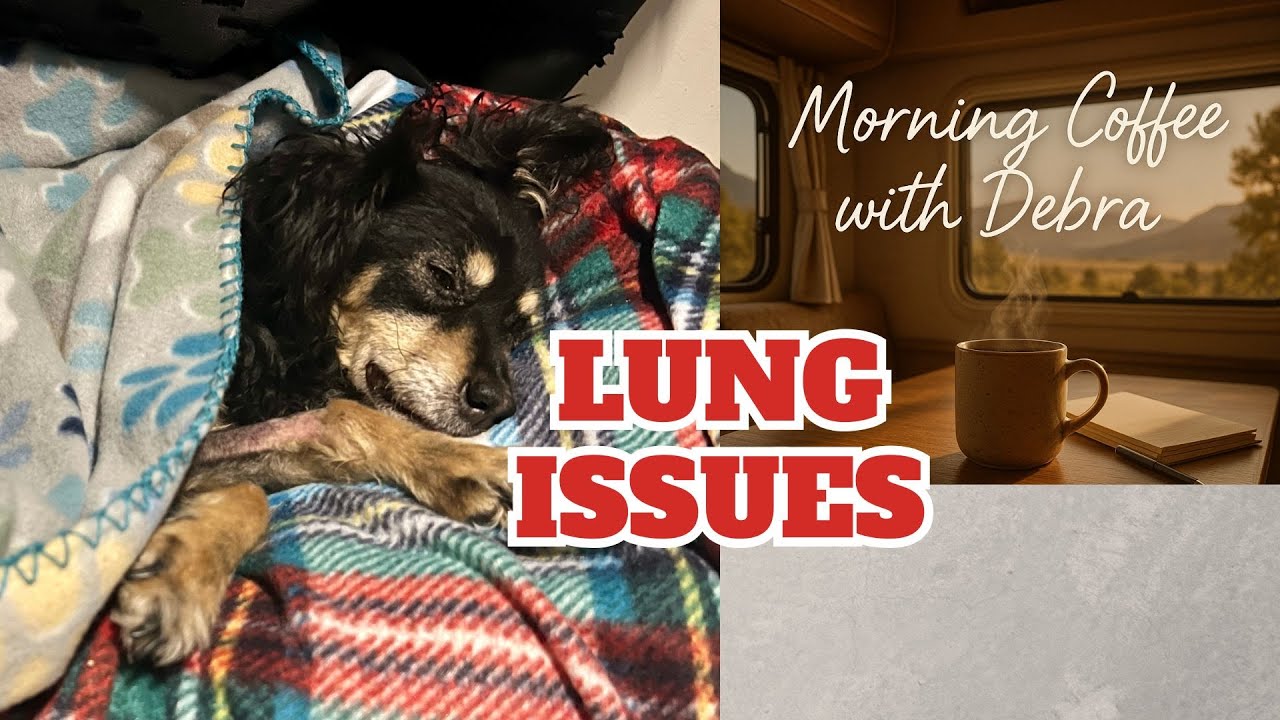 Now He Has Lung Issues 🥹 Ongoing Gratitude ☕️ Morning Coffee with Debra ...