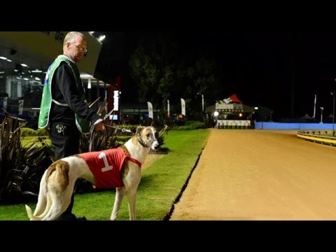 Fernando Bale fantasy run - YouTube