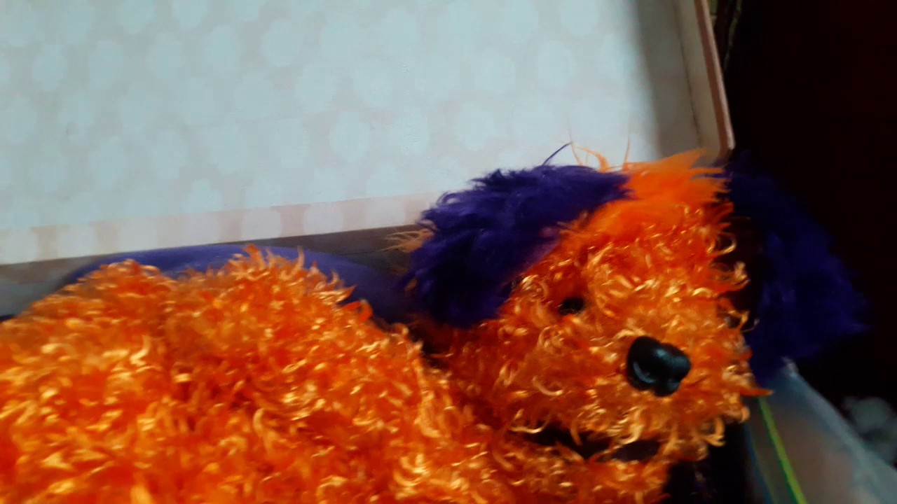 Happy new feet for our little puppet - YouTube