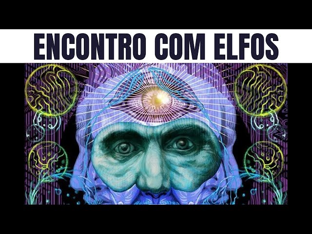 Elfos Dmt Terence McKenna What Are Machine Elves?