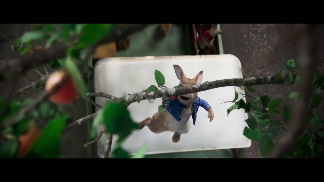 PETTER RABBIT 2 The Run 2021🐰 - YouTube