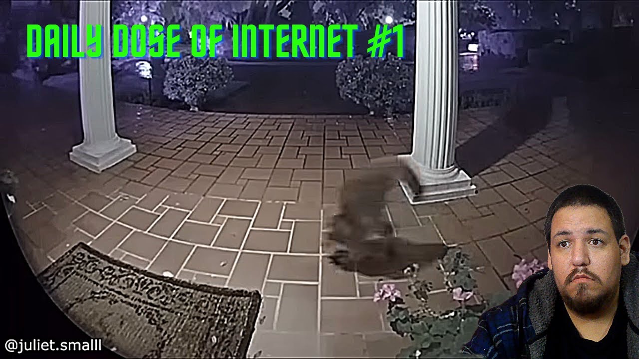 Daily Dose of Internet #1 | Reaction - YouTube