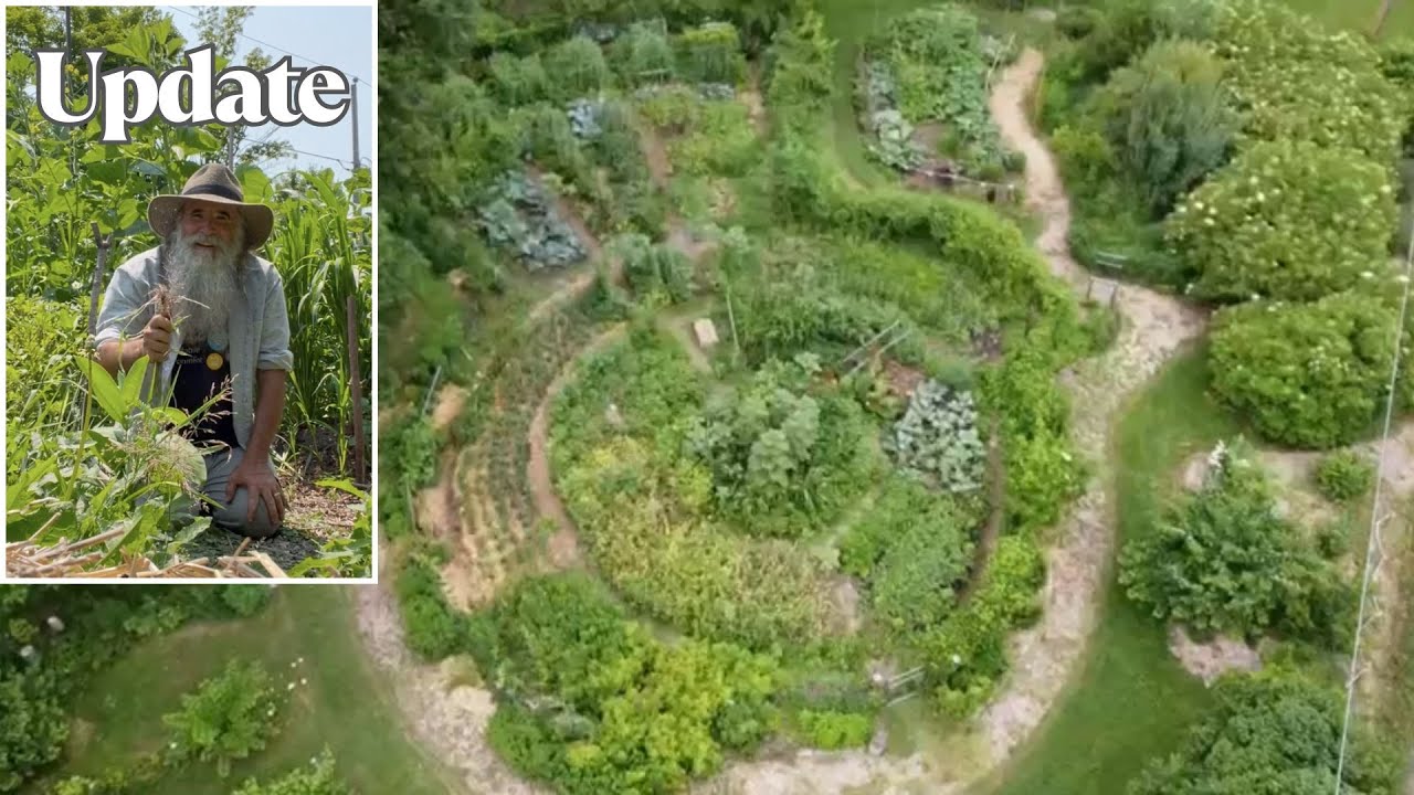 JULY GARDEN UPDATE!: A YEAR'S WORTH OF FOOD, Multiple Experiments ...