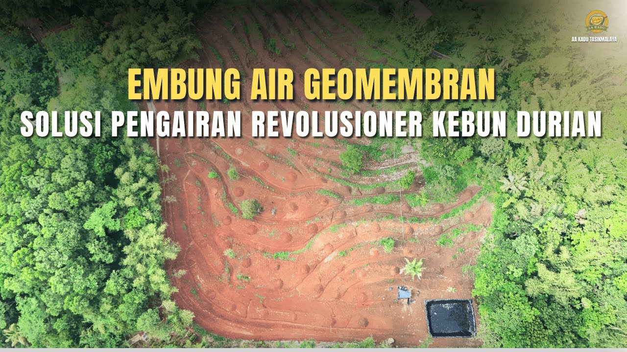 Update Embung Air Geomembran: Solusi Pengairan Revolusioner Kebun ...