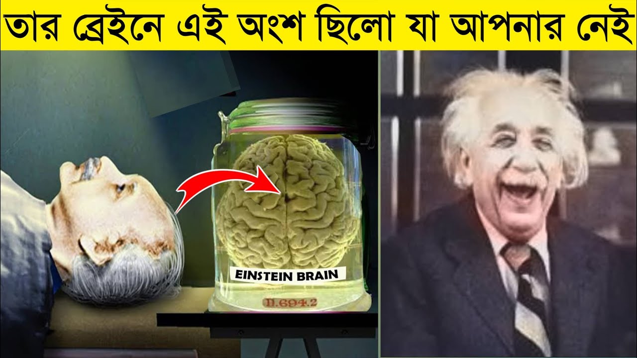 কি ছিলো আইনস্টাইনের মস্তিস্কে যার জন্য সেটা চুরি হয়? | Albert Einstein ...