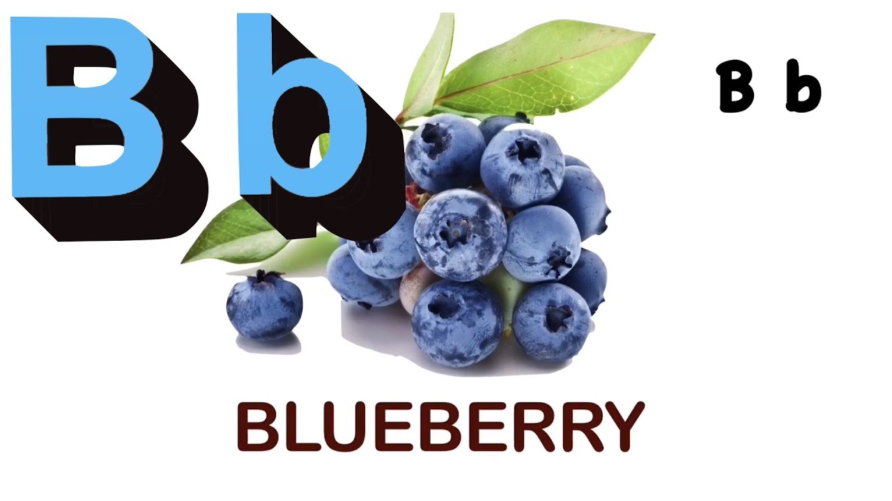 Letter B | Words starting with Letter B |Vocabulary |B alphabet words ...