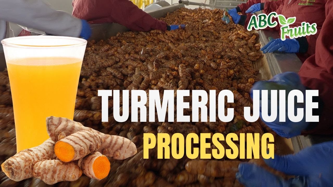 Aseptic Turmeric Juice NFC Processing | Step-by-Step Guide of Minimally ...