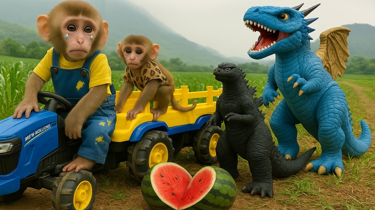 The journey of two baby monkeys to school and the confrontation with ...