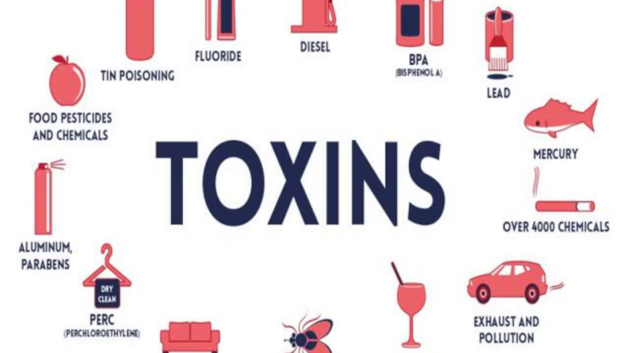 Flush Out Toxins— Does Sweating Eliminate Toxins - YouTube