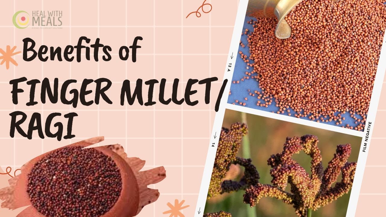 Ragi / Finger Millet ; Health benefits of finger millet (ragi) #ragi ...