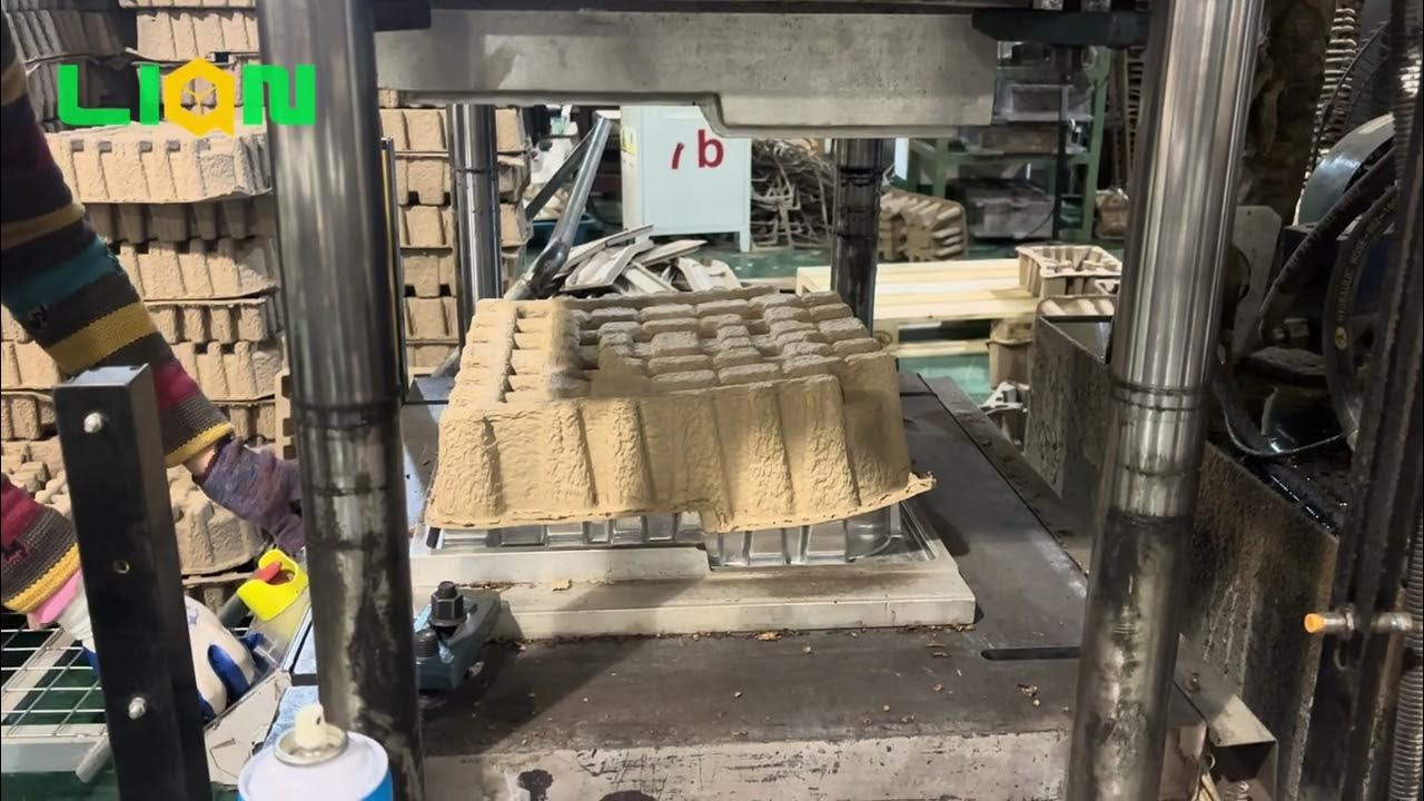 Lian Pack |Heat Press Production Process For Pulp Molded Packaging ...