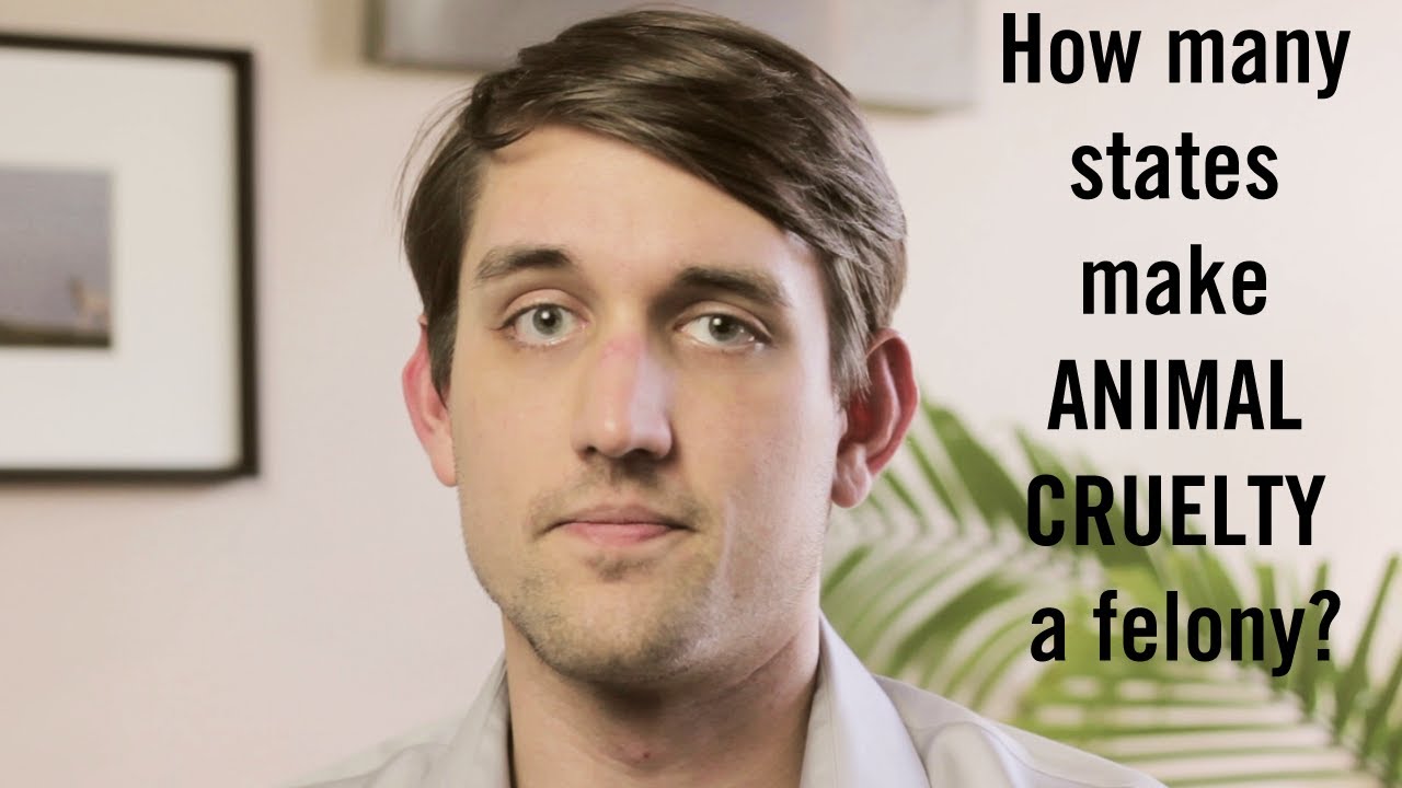 Kathy Travers's Instagram, Twitter & Facebook on IDCrawl