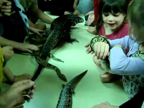 Reptile Show | Reptiles for Kids | Animals for Parties in San Francisco ...