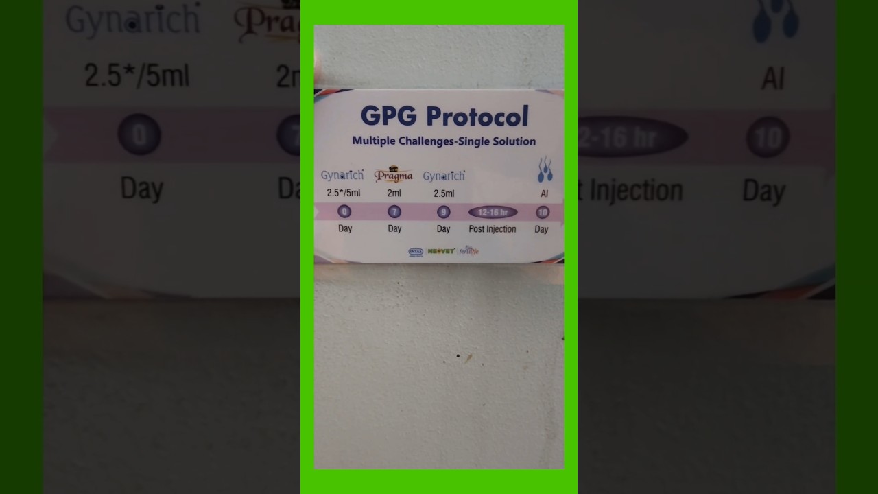 Treatment of Anoestres in cattle#GPG PROTOCOL USE#बछिया हिट में नहीं आ ...