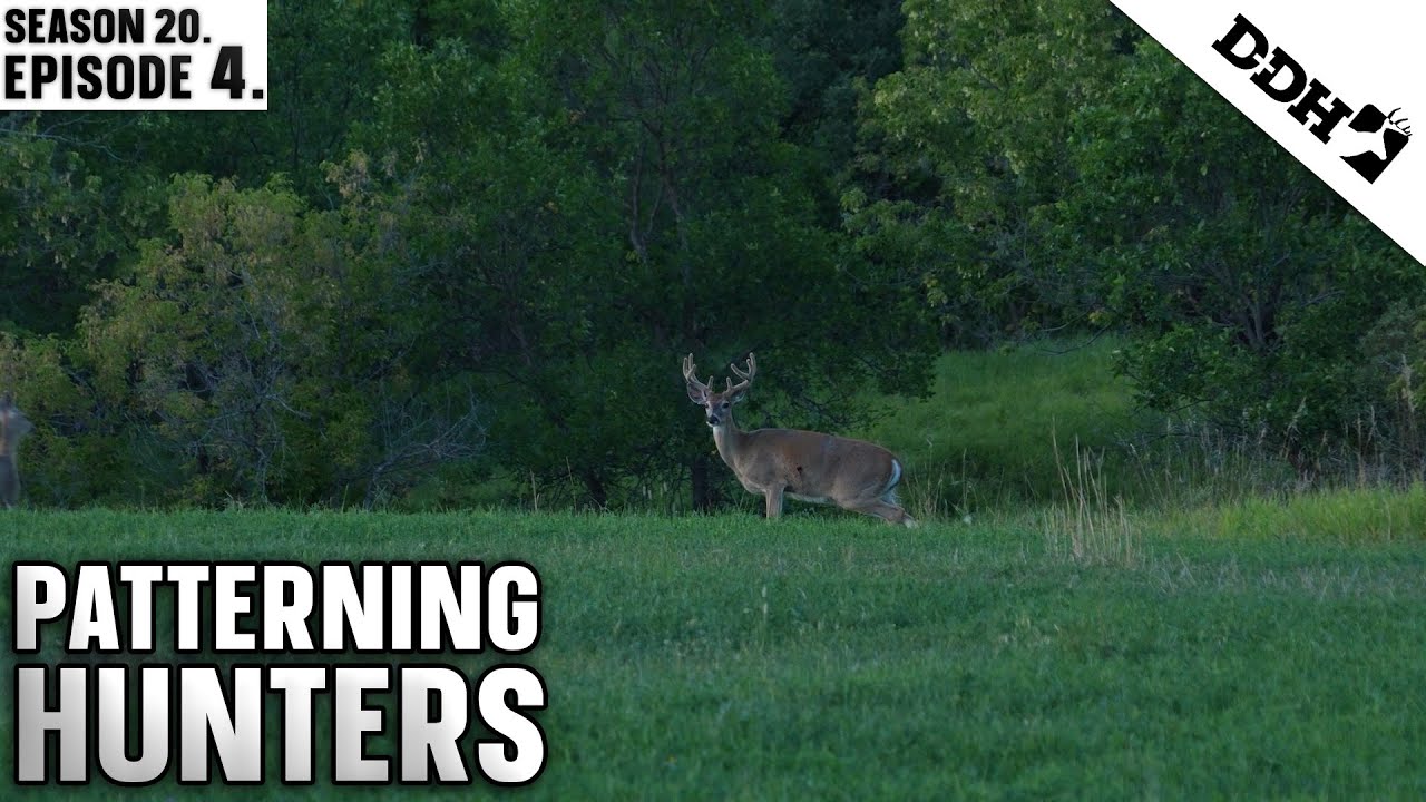 Deer Patterning Hunters | Deer & Deer Hunting TV - YouTube