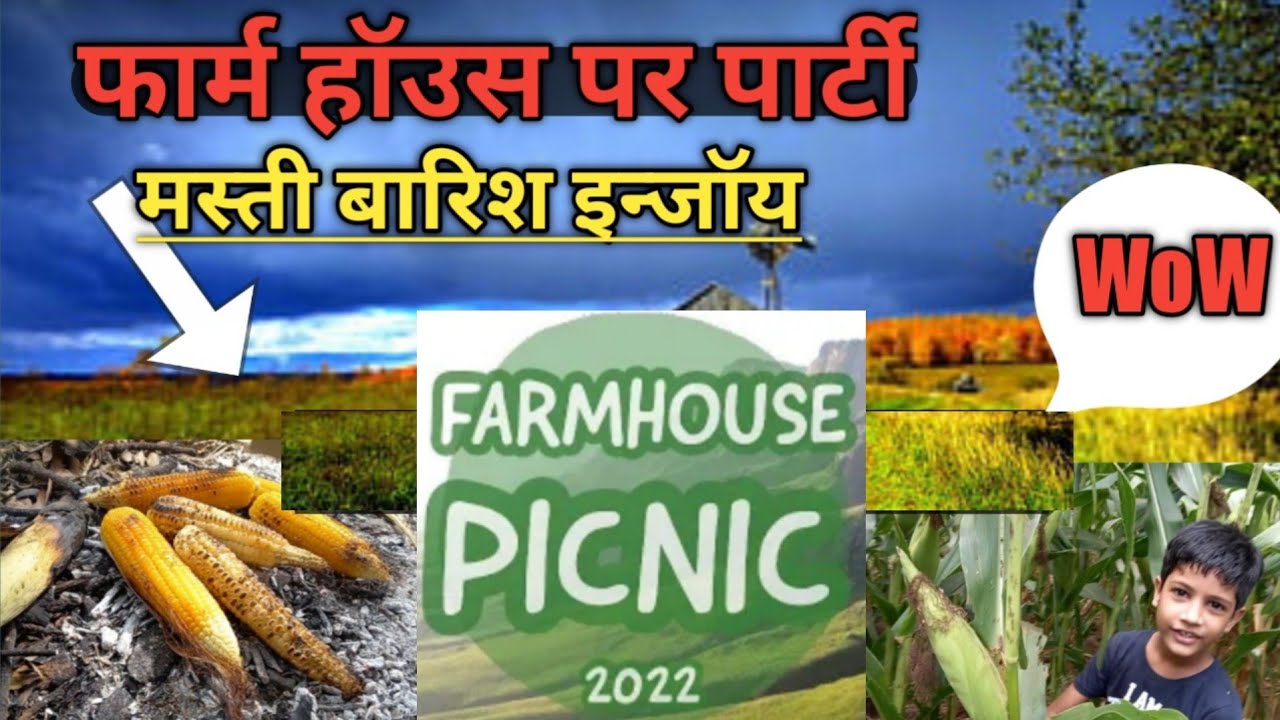My 1st Vlog in My Farm House. Picnic 21k view ll विलेज़ फार्म हॉउस ...