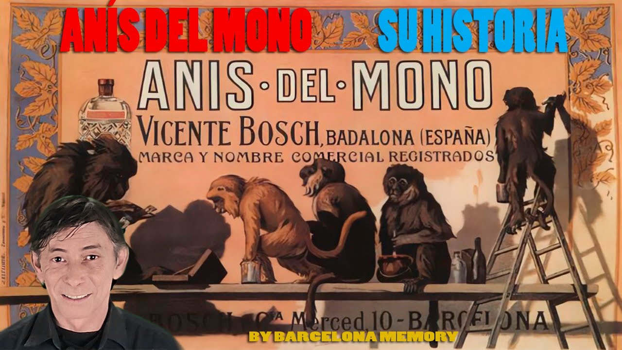 ¿QUE TIENE QUE VER DARWIN CON EL ANIS DEL MONO? - YouTube