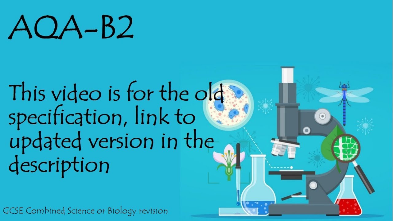 The whole of AQA B3, in only 37 minutes!! GCSE biology or further ...