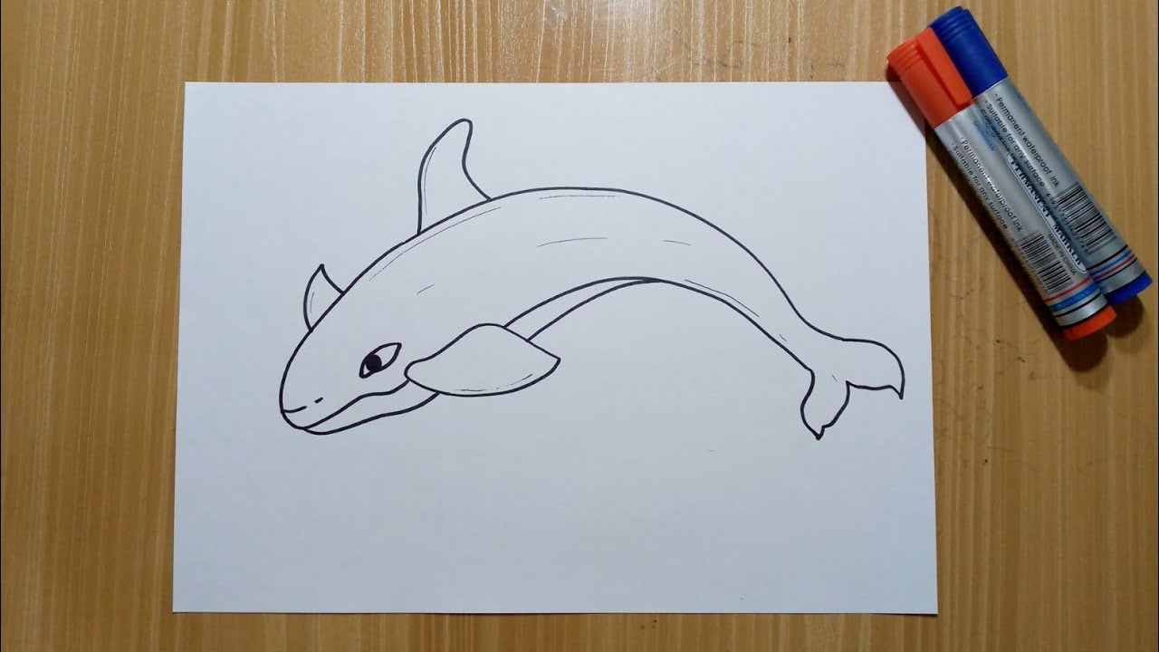 EASY ORCA DRAWING STEP BY STEP / HOW TO DRAW ORCA WHALE EASILY - YouTube