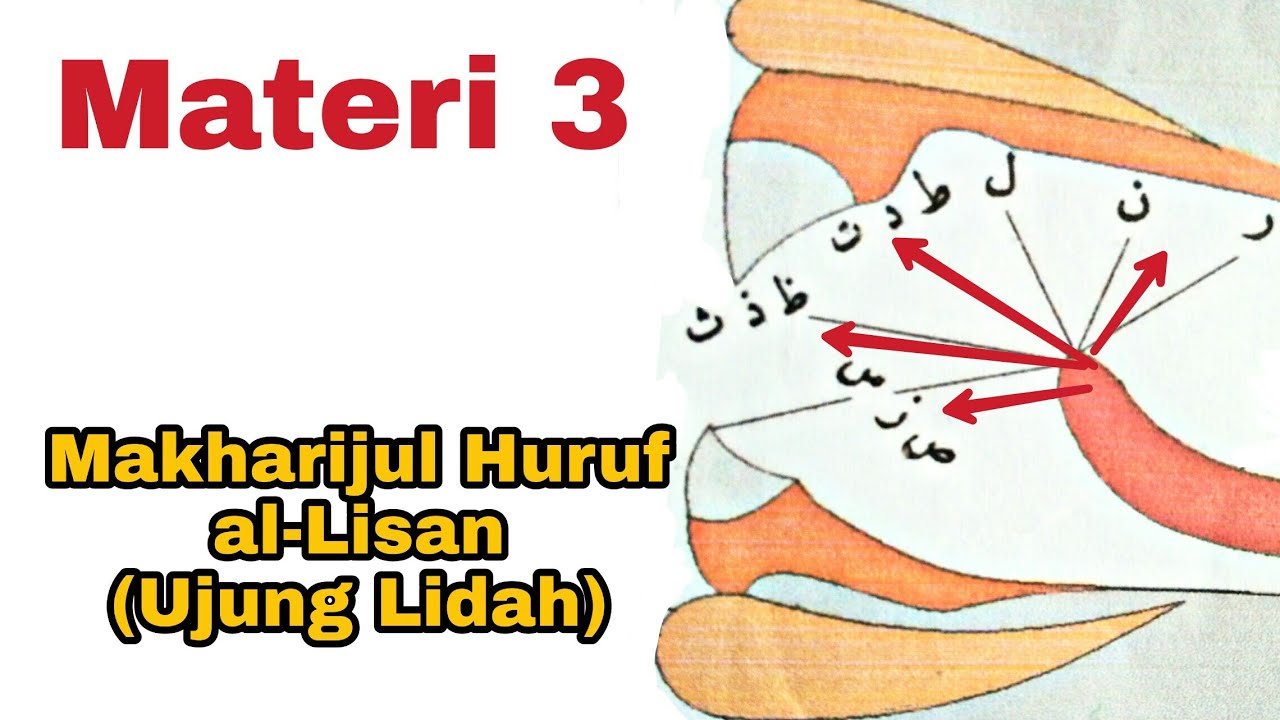 Episode 3. Makharijul Huruf (Materi al-Lisan/Huruf Ujung Lidah ...