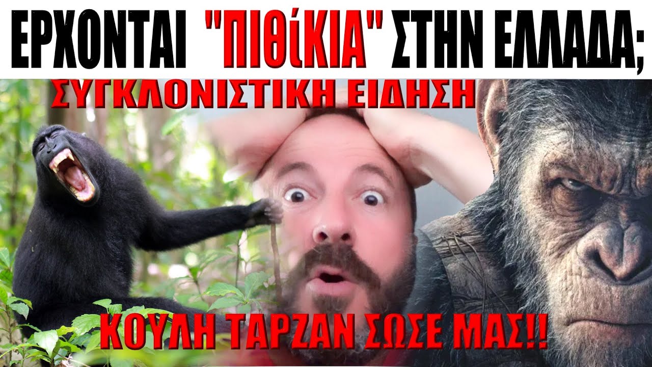 Έρχονται τα ΠΘhΚΙΑ στην Ελλάδα;🙉 ΠΡΟΛΑΒΕΤΕ ΝΑ ΔΕΙΤΕ ΤΟ ΒΙΝΤΕΟ ΠΡΙΝ ΤΟ ...