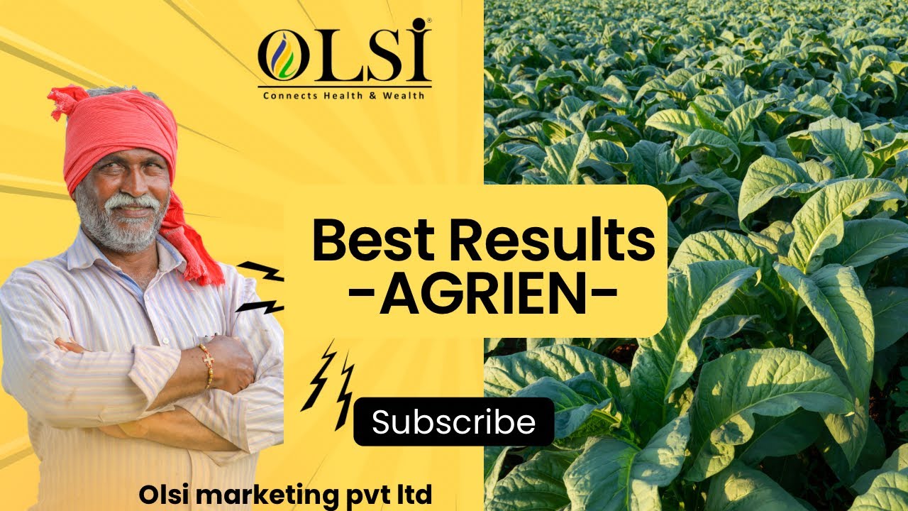 OLSI AGRIEN products have been used in tobacco crops for excellent ...