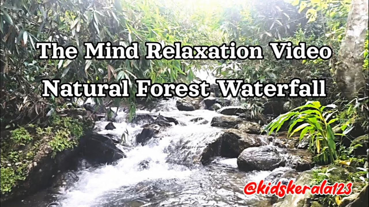 The Mind Relaxation Video 2• Natural Forest Waterfall 4K - YouTube
