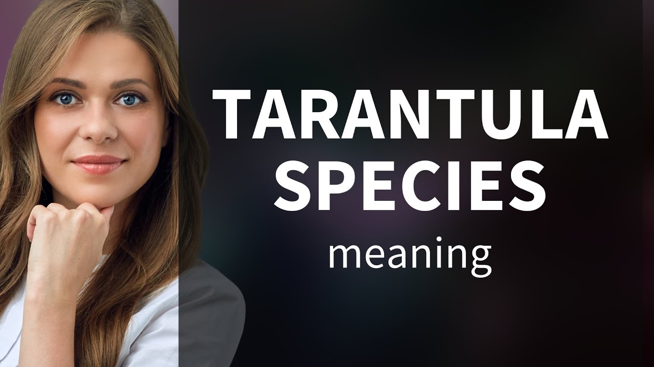 Understanding "Tarantula Species": A Guide for English Learners - YouTube