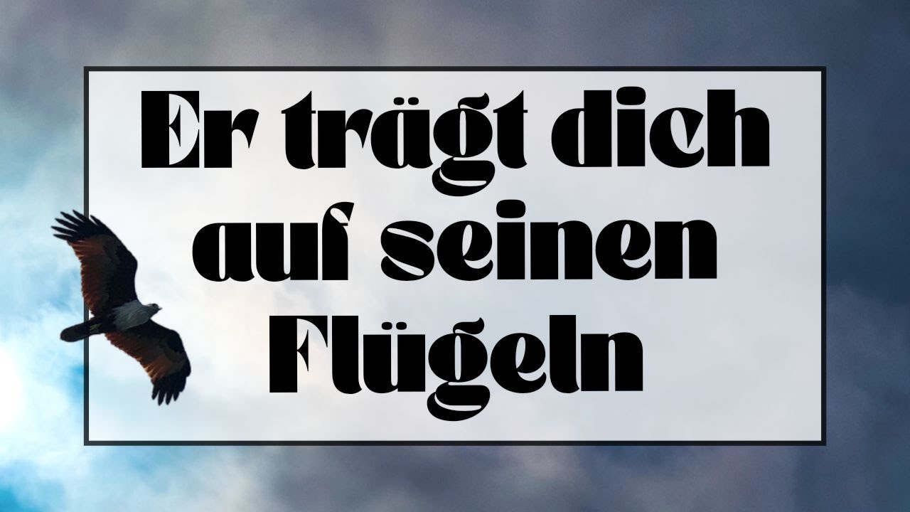 Er trägt dich auf seinen Flügeln, wie ein Adler seine Jungen auffängt ...