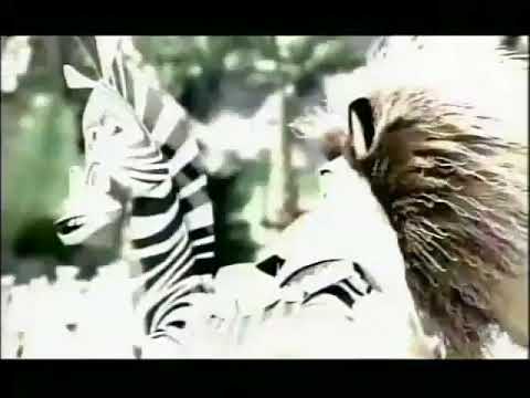 Madagascar (2005) - TV Spot 2 - YouTube