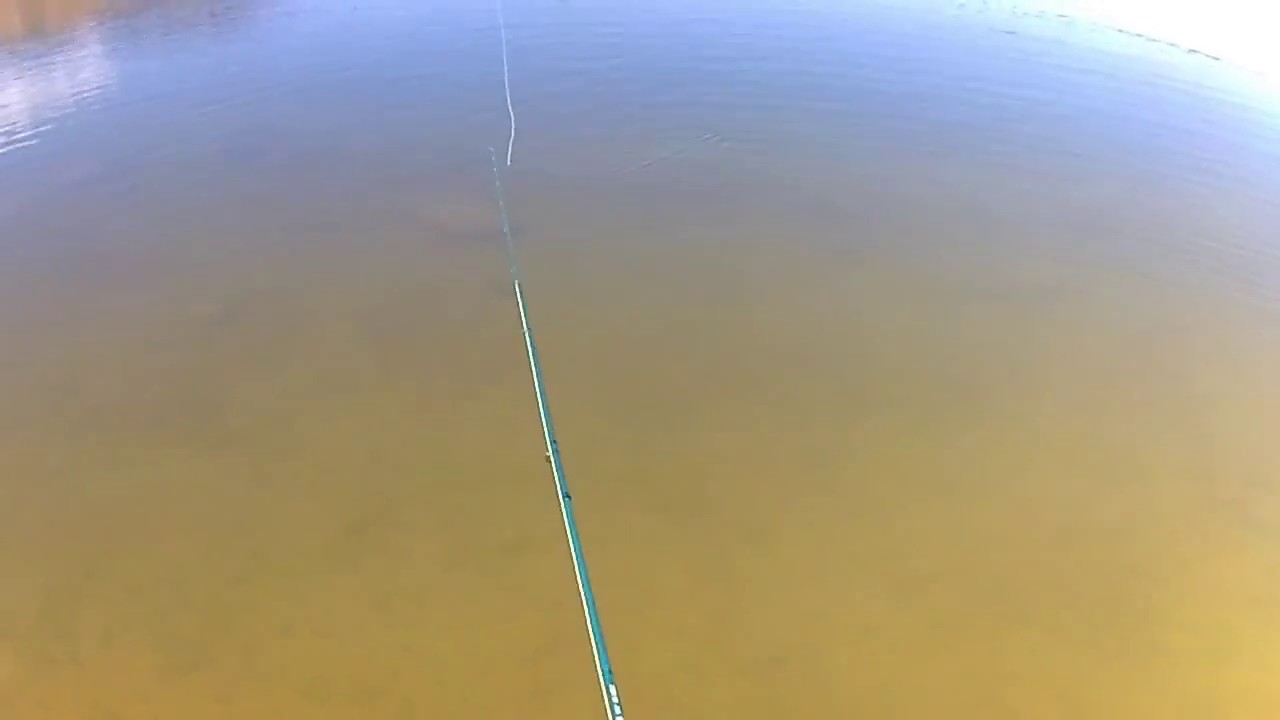 Catching a nice rainbow trout on Fort Carson - YouTube