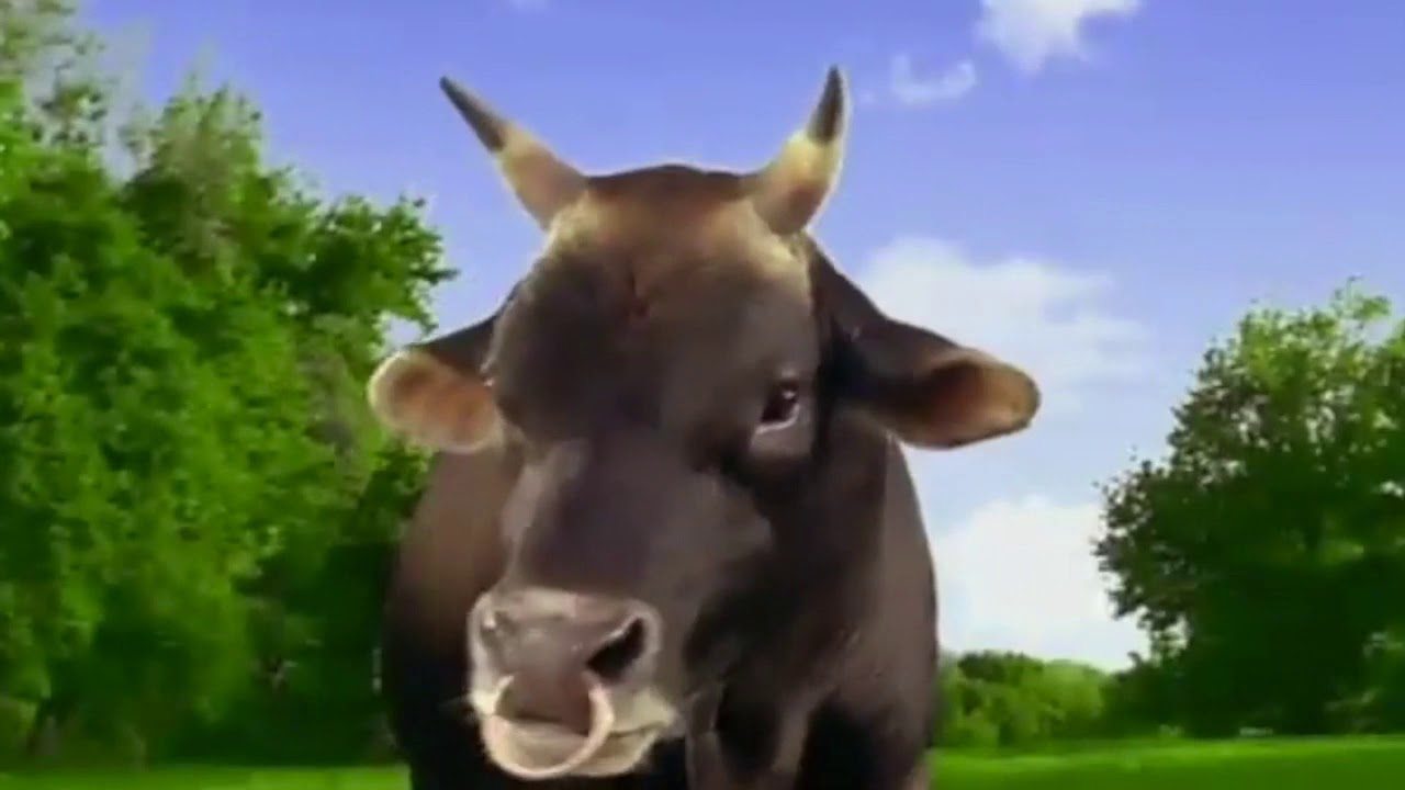 Anchor Spreadable - Never Seen (1993, UK) - YouTube