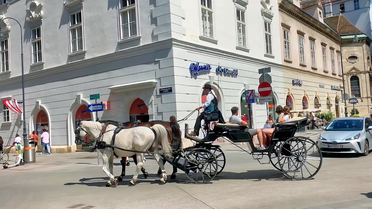 Beautiful Vienna City of Linz with attractive tourist - YouTube