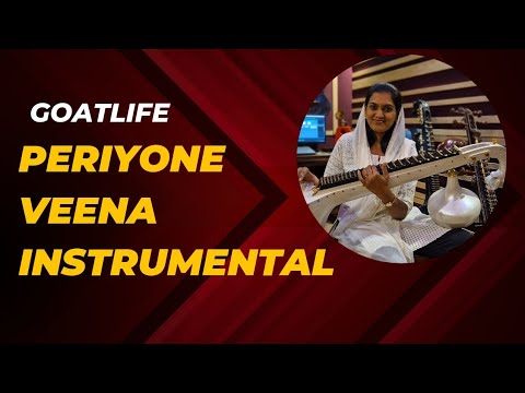 Periyone Rahmane | Goat life | Veena Instrumental | AR Rahman | Prithvi ...