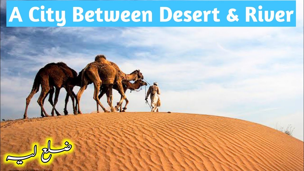 District Layyah | City Between Desert And River | Tribute by Thal Hub ...