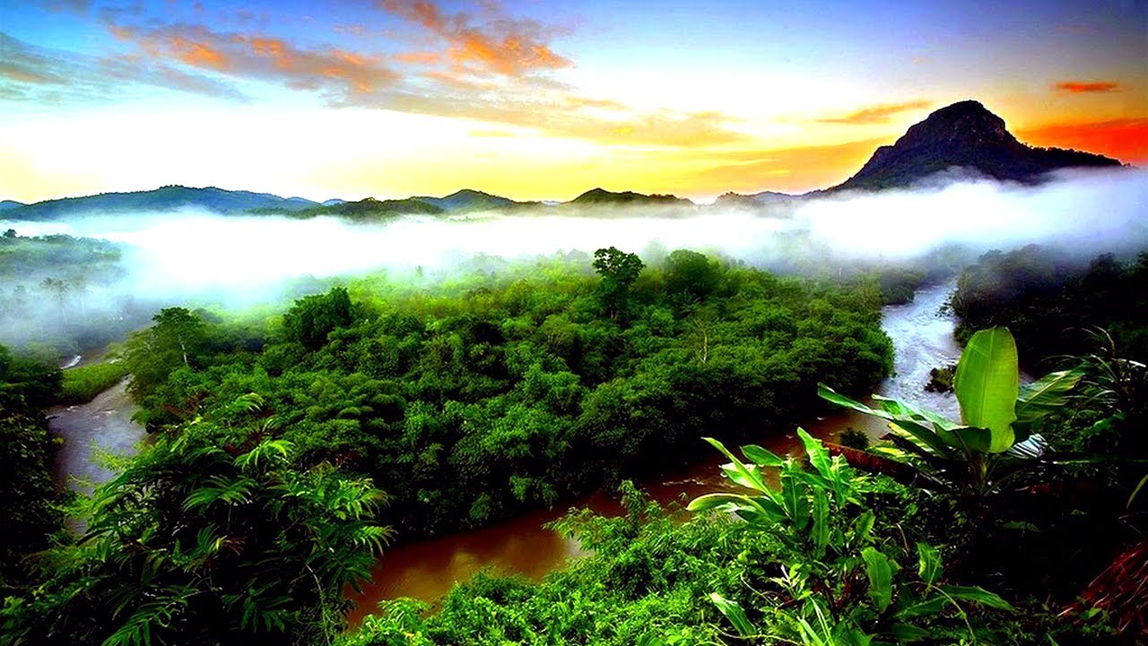 copyright free music | copyright nature music | nature copyright-free ...